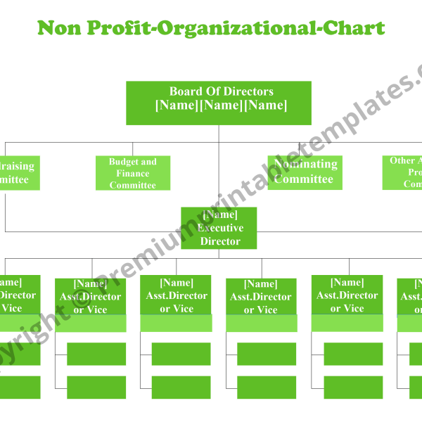 Functional Organizational Chart Template in PDF & Word
