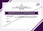 Certificate of Experience Blank Printable Template PDF, Word