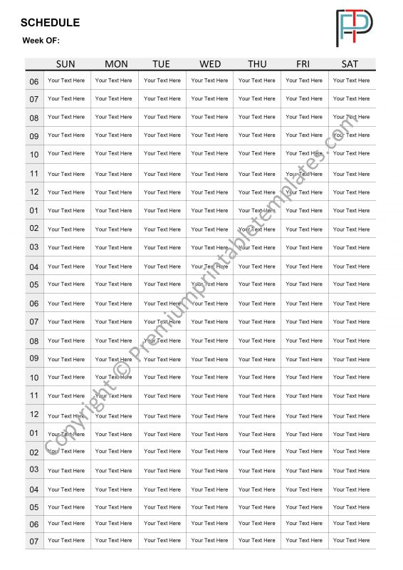 Weekly Hourly Schedule Printable Template in PDF & Word